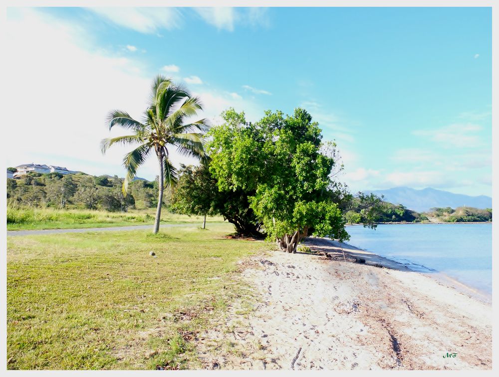Plage de Nouré photo et image | paysages, nouvelle-calédonie, nature ...