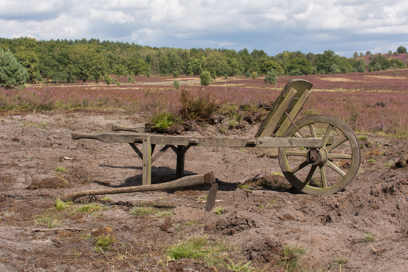 Plaggen Foto & Bild | deutschland, europe, niedersachsen Bilder auf ...