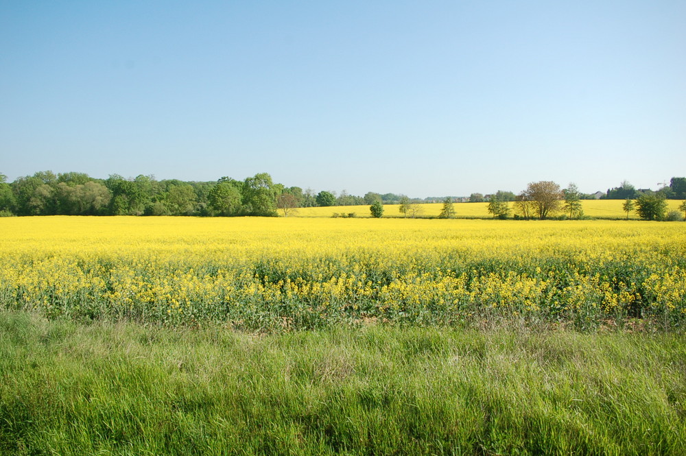 Plaine briarde photo et image | paysages, paysages de campagne, album 1 ...