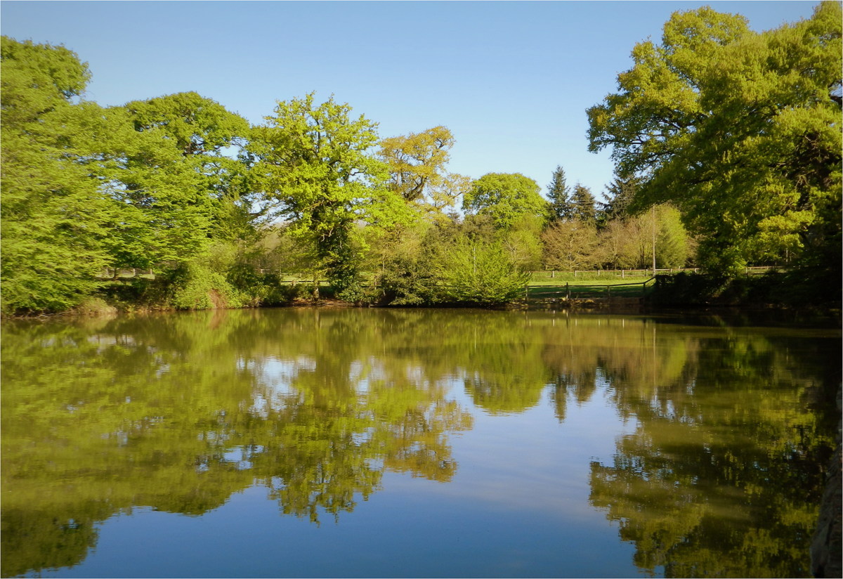 plan d'eau photo et image | nature, lacs, paysages Images fotocommunity