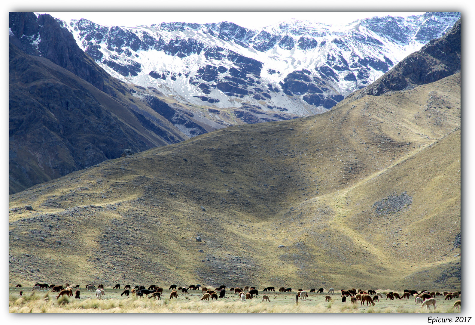Plateau Péruvien ...3700m ... photo et image | south america, peru ...