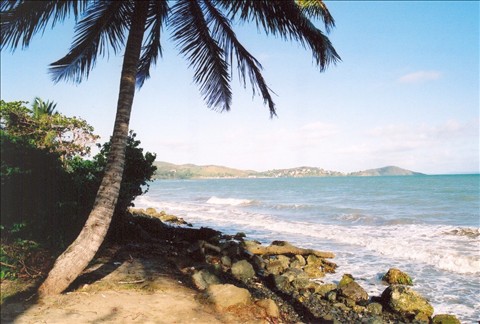 Playa de Naguabo, PR Imagen & Foto | paisajes, naturaleza Fotos de ...