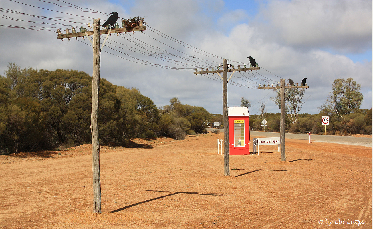 Please call again *** Foto & Bild | australia & oceania, australia ...