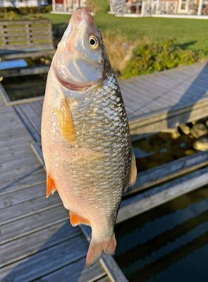 Scandinavia Bilder & Fotos