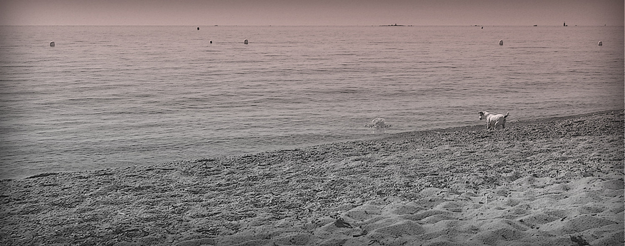 PLOUF .... ? photo et image | exercice photo hebdomadaire 313, 16.7.16 ...