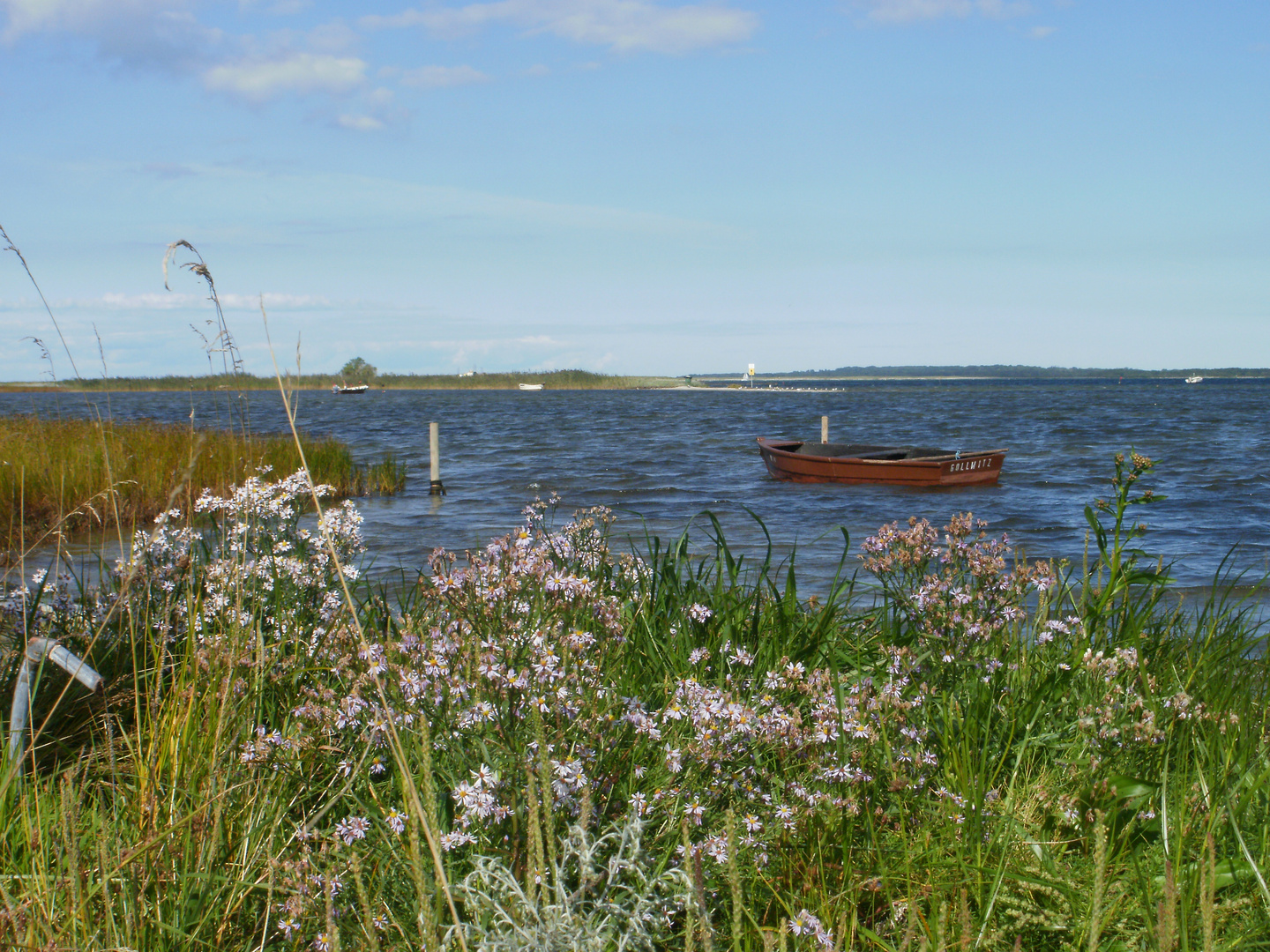 Poel Foto & Bild | landschaft, meer & strand, haff & bodden Bilder auf ...
