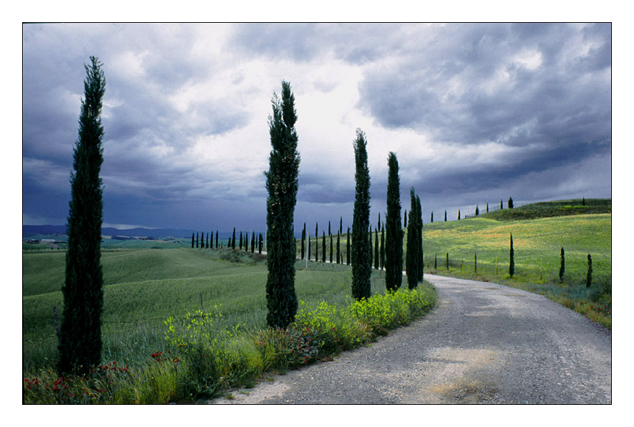 Poggio Cipresso Foto & Bild | europe, italy, vatican city, s marino ...