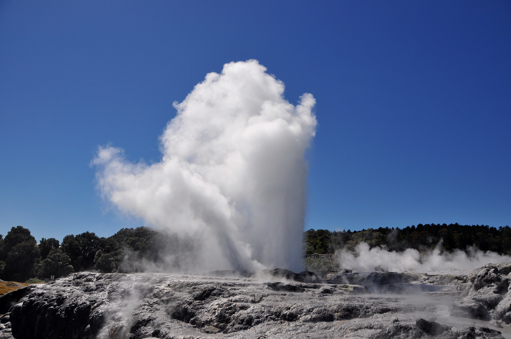 Pohutu Geysier Foto & Bild | world, new zealand, rotorua Bilder auf ...