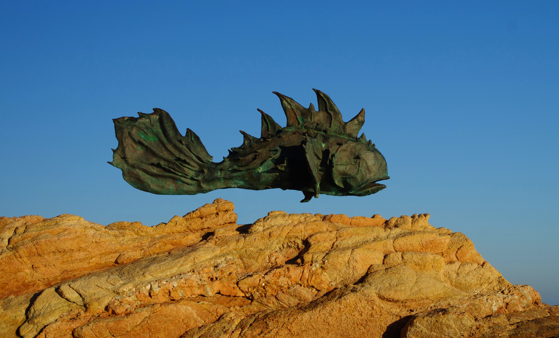 Poisson volant... photo et image | paysages, mers et océans, nature ...