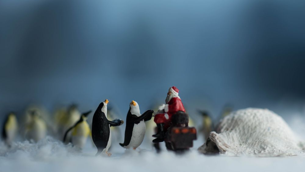 Pol Position Foto & Bild | stillleben, emotionen, gratulation und ...