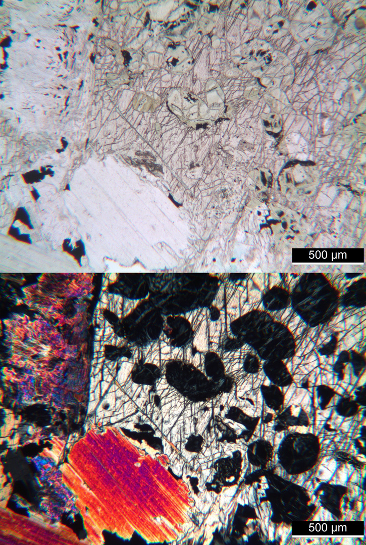 Polarisationsmikroskopie: Amphibol-Peridotit aus dem Odenwald Foto ...