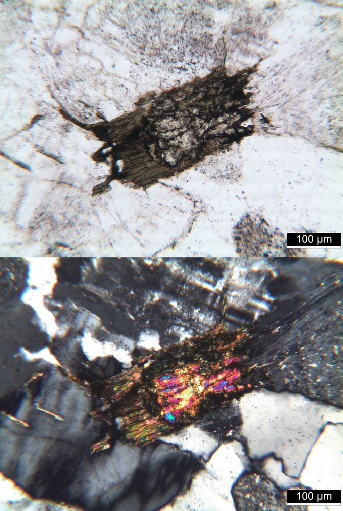 Polarisationsmikroskopie: Aplit aus dem Odenwald Foto & Bild ...