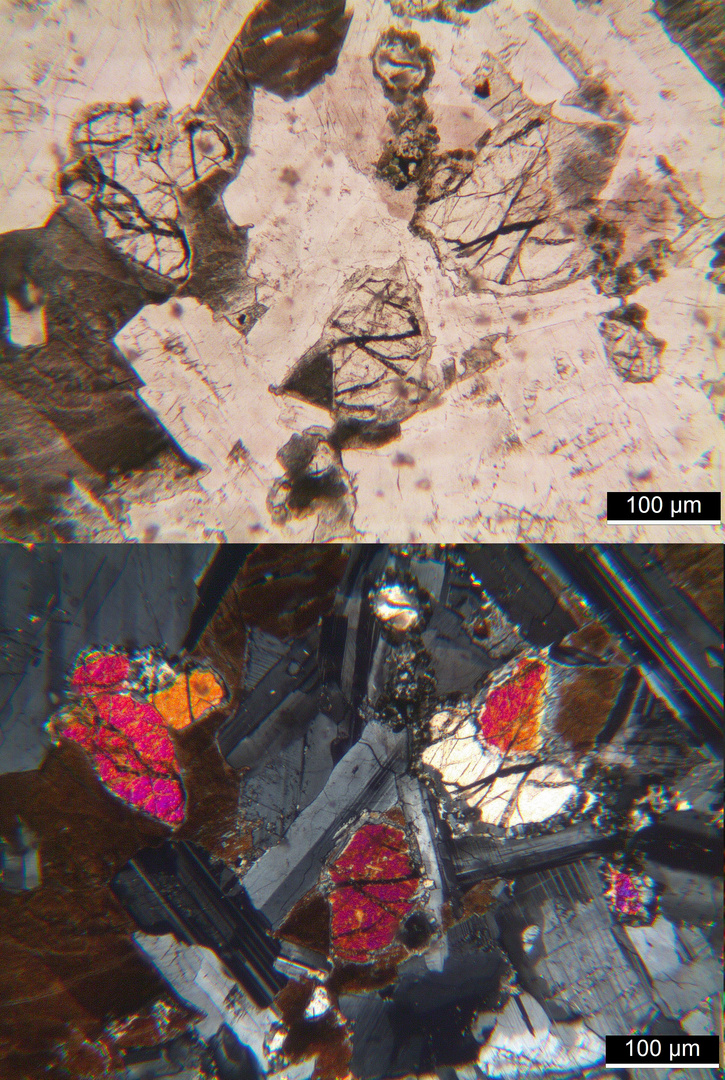 Polarisationsmikroskopie: Hyperit von Gomø, Norwegen Foto & Bild ...