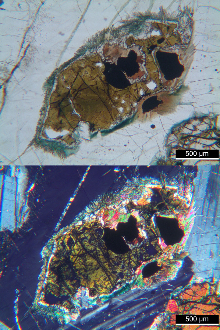 Polarisationsmikroskopie: "Olivin-Monzonit" aus dem Monzoni-Tal, Tirol ...