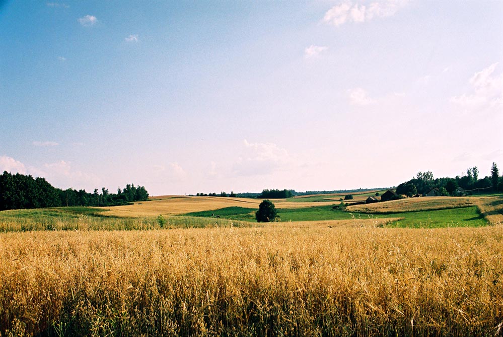 Polen Foto & Bild | landschaft, Äcker, felder & wiesen, natur Bilder ...