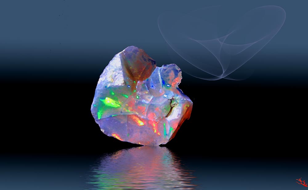 Policromia..... Foto % Immagini| macro e close up, altre macro, esperim ...