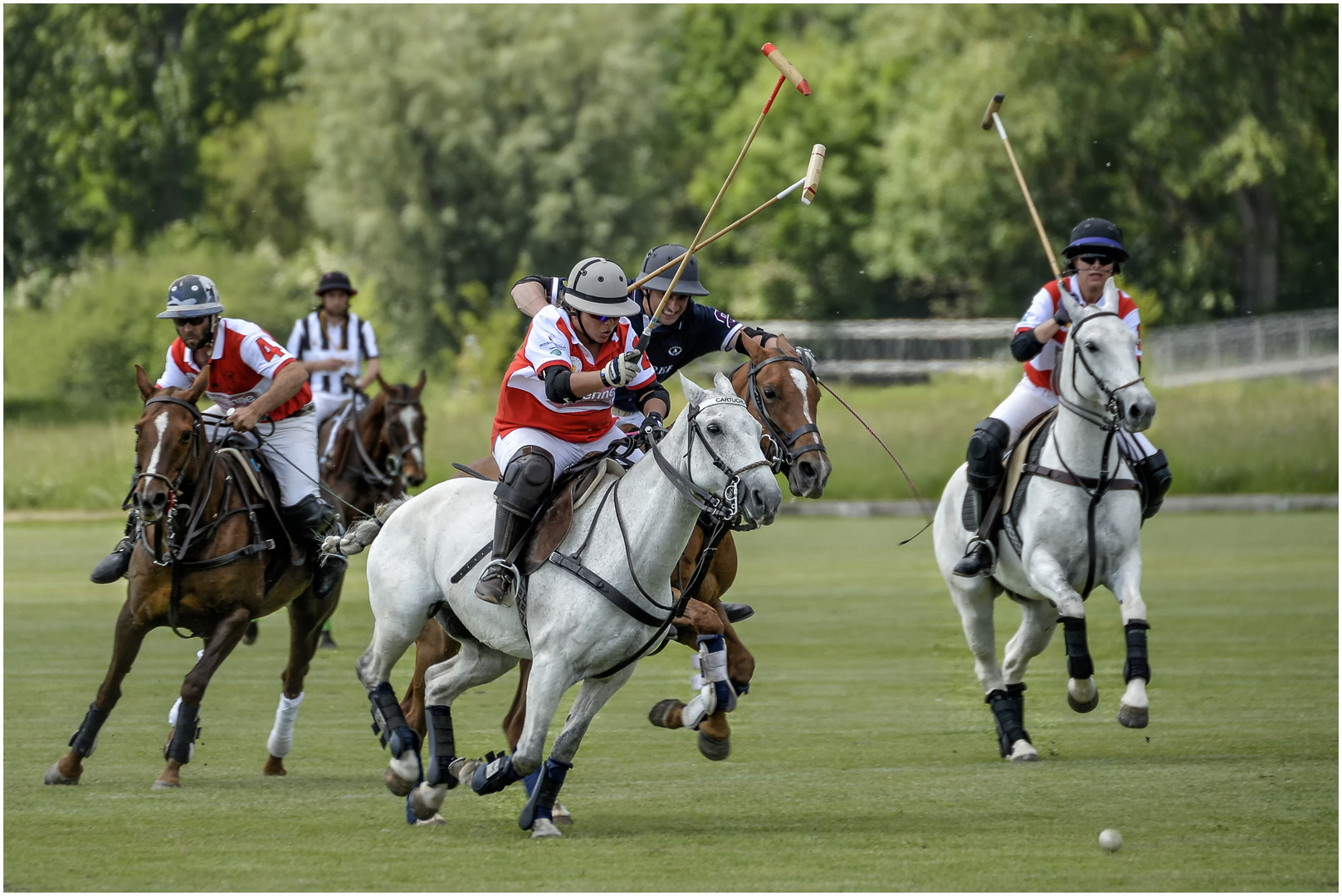 Polo Foto & Bild | sport, natur, frankfurt Bilder auf fotocommunity