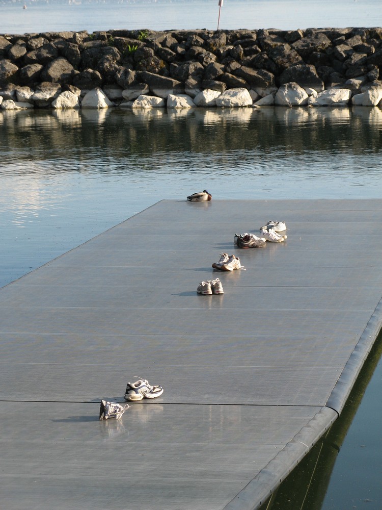 Ponton photo et image | sports, sport, sujets Images fotocommunity