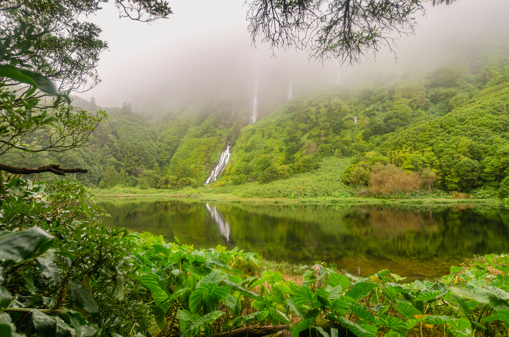 Poço Ribeira do Ferreiro, Flores Foto & Bild | landschaft, wasserfälle ...