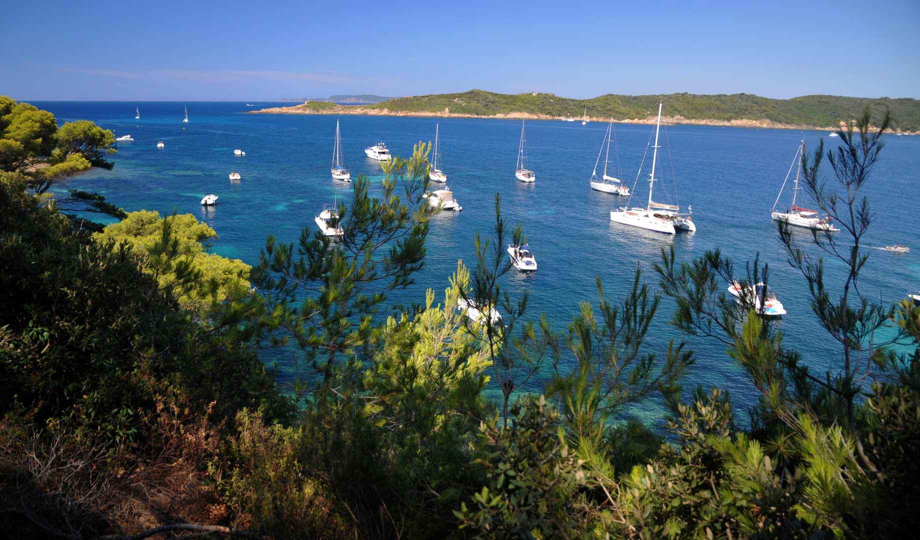 Poquerolles2 Foto & Bild | france, provence, côte Bilder auf fotocommunity