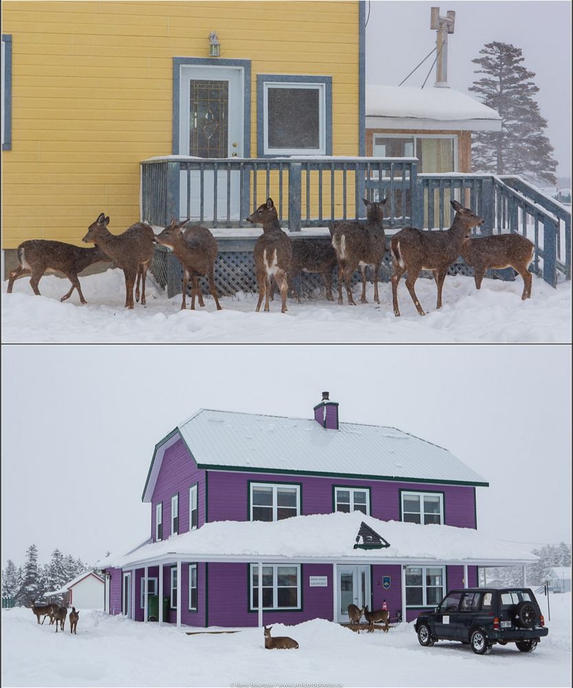 Port-Menier, île Anticosti, le 3 décembre dernier. photo et image ...