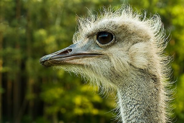 Meikel Ernst - Fotos & Bilder - Fotograf aus Stein, Deutschland ...