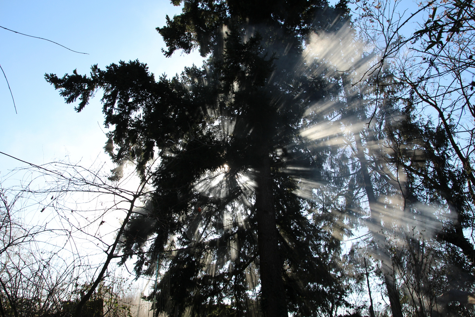 Potz-Blitz der Planet sticht... Foto & Bild | sonstiges, sonnenaufgang ...