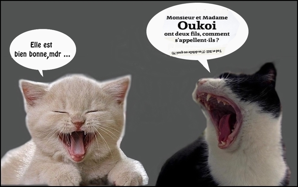 Pour faire rire !!!! photo et image | animations photographiques ...