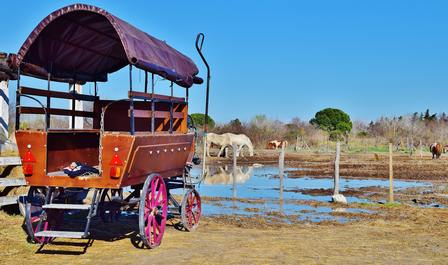 Pour la balade..... photo et image | abstrait, réalités, traditions ...