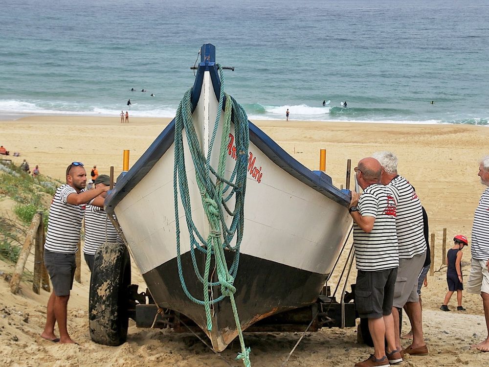 pour la pêche au filet ! photo et image | special, animations ...