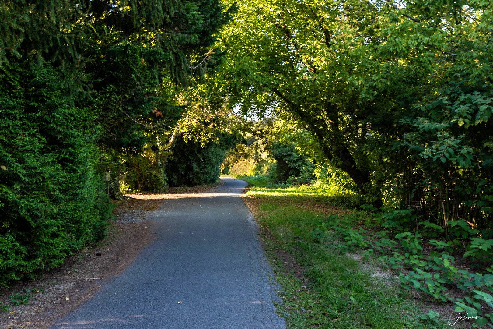 POUR SE PROMENER photo et image | nature, paysage, chemin Images ...