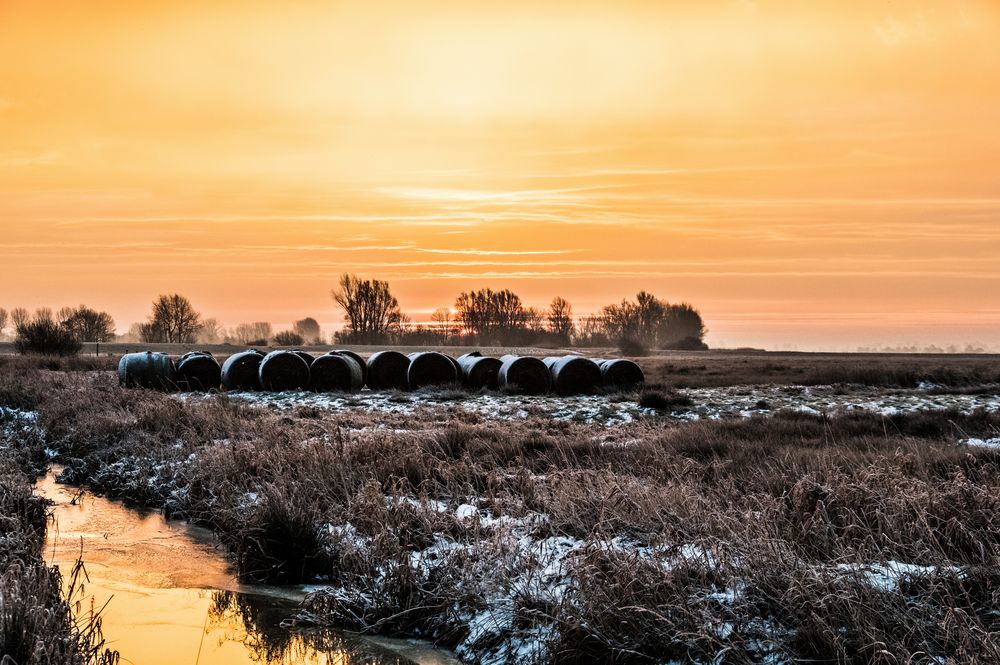 Prärie im Winter Foto & Bild | winter, natur, landschaft Bilder auf fotocommunity