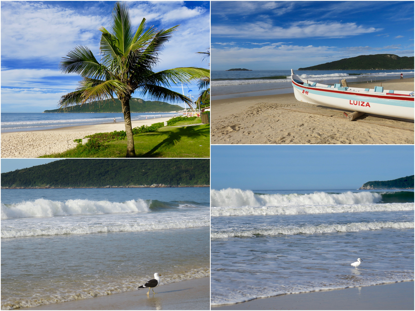 Praia dos Ingleses Foto & Bild | world, america, florianopolis Bilder ...