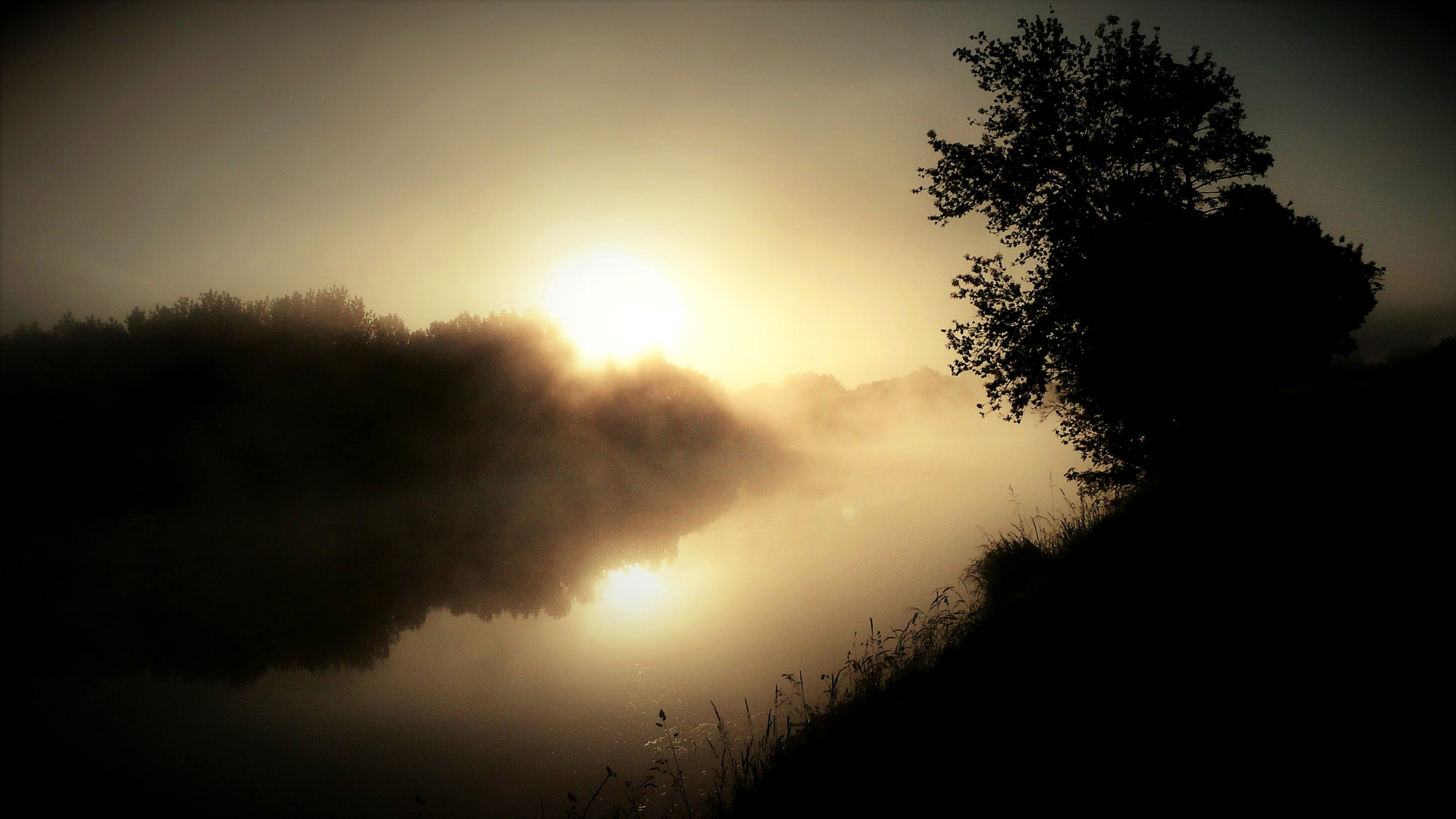 Première brume photo et image | france, nature, brume Images fotocommunity