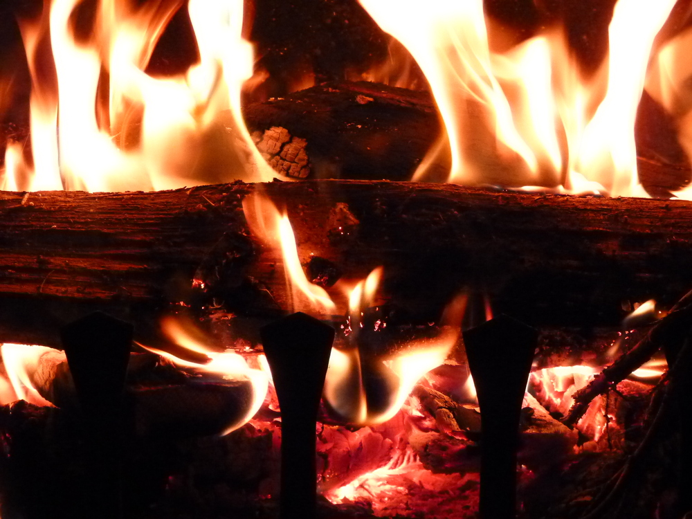 Première flambée . photo et image | home sweet home, feu, special ...