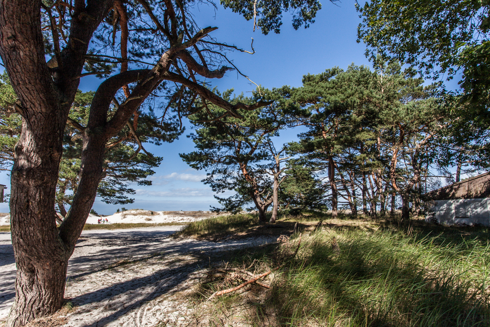 Prerow Foto & Bild | landschaft, meer & strand, strand Bilder auf ...