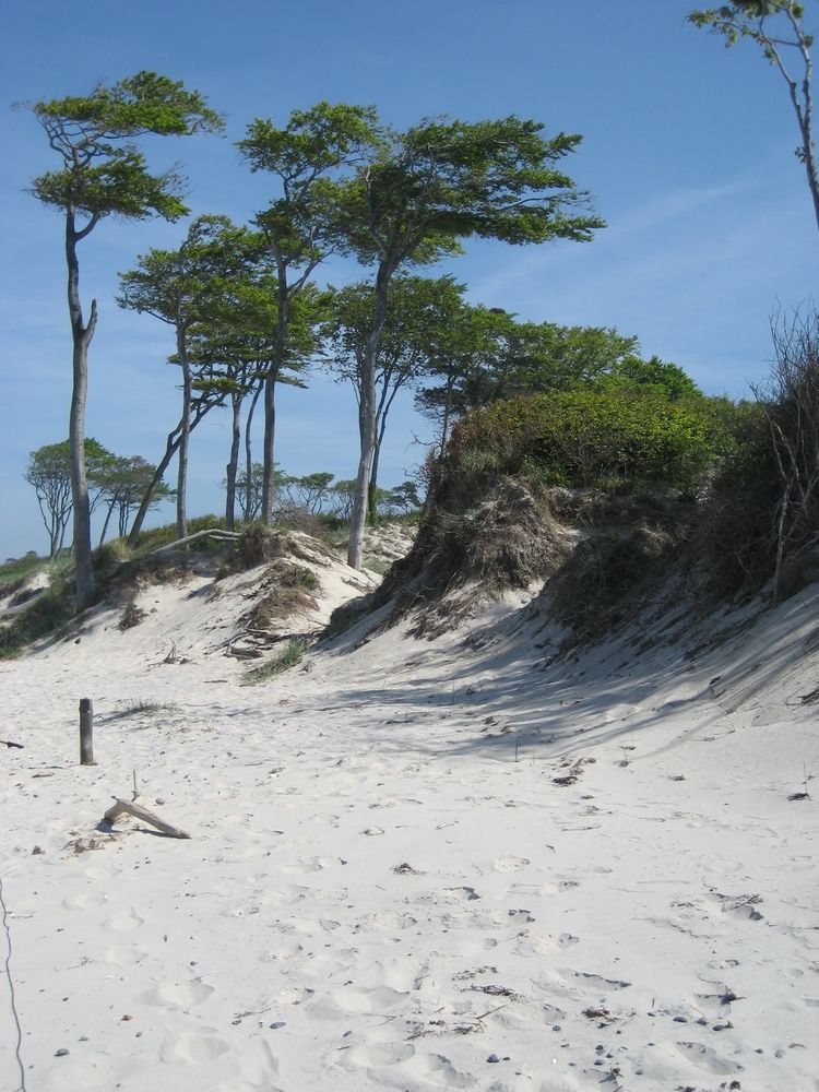 Prerow, Weststrand Foto & Bild | deutschland, europe, mecklenburg ...