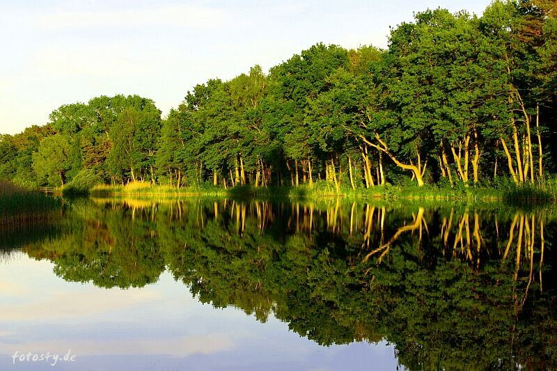 Prerower Strom Foto & Bild | landschaft, bach, fluss & see, see, teich ...