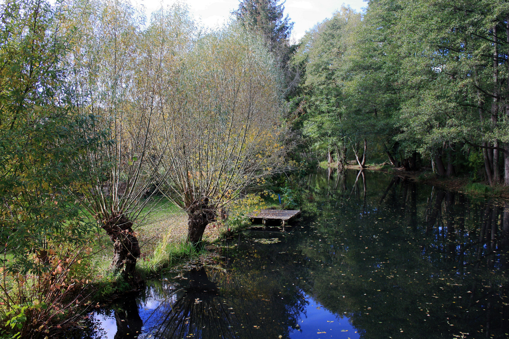 Pretschner Spree Foto & Bild | landschaft, bach, fluss & see, flüsse ...