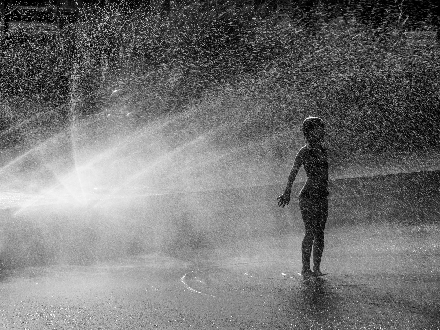 Prickeln Foto & Bild | kinder, kinder im schulalter, portofolio Bilder ...