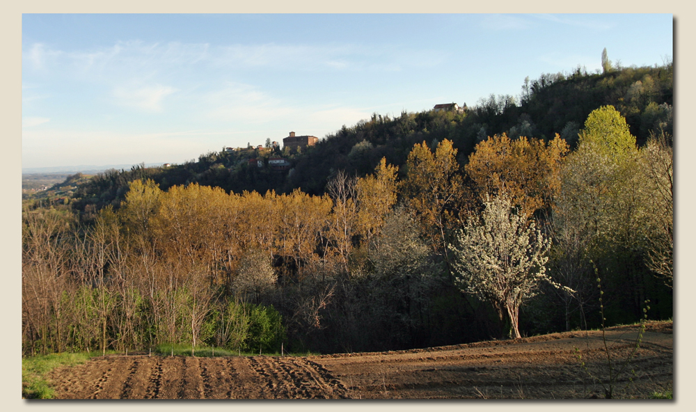 Primavera in campagna Foto % Immagini| paesaggi, campagna, natura Foto ...