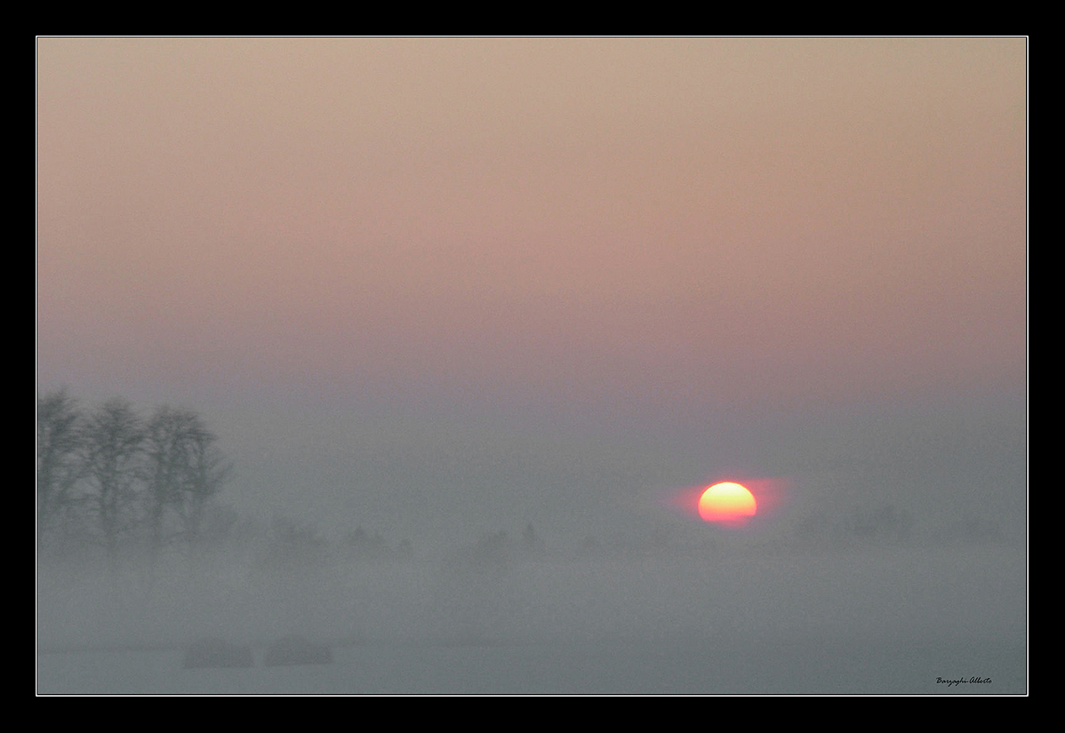 prime nebbie Foto % Immagini| natura Foto su fotocommunity