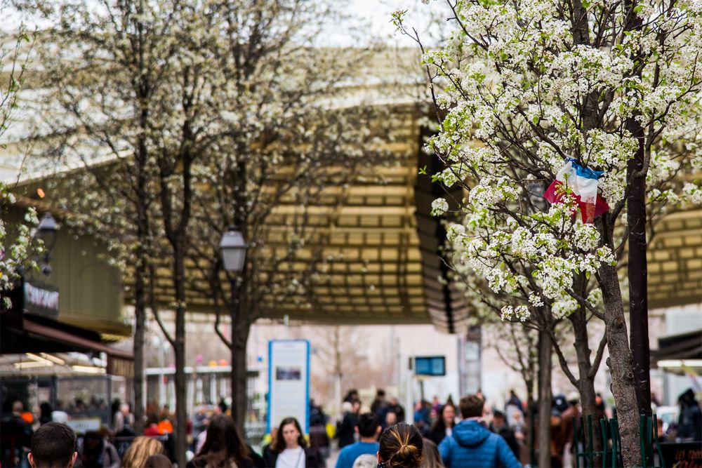 printemps parisiene Foto & Bild | projekte, 3 - mittwochsblümchen ...