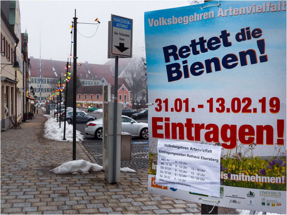 Pro oder Contra Foto & Bild | sonstiges, ge- zerstörte natur ...