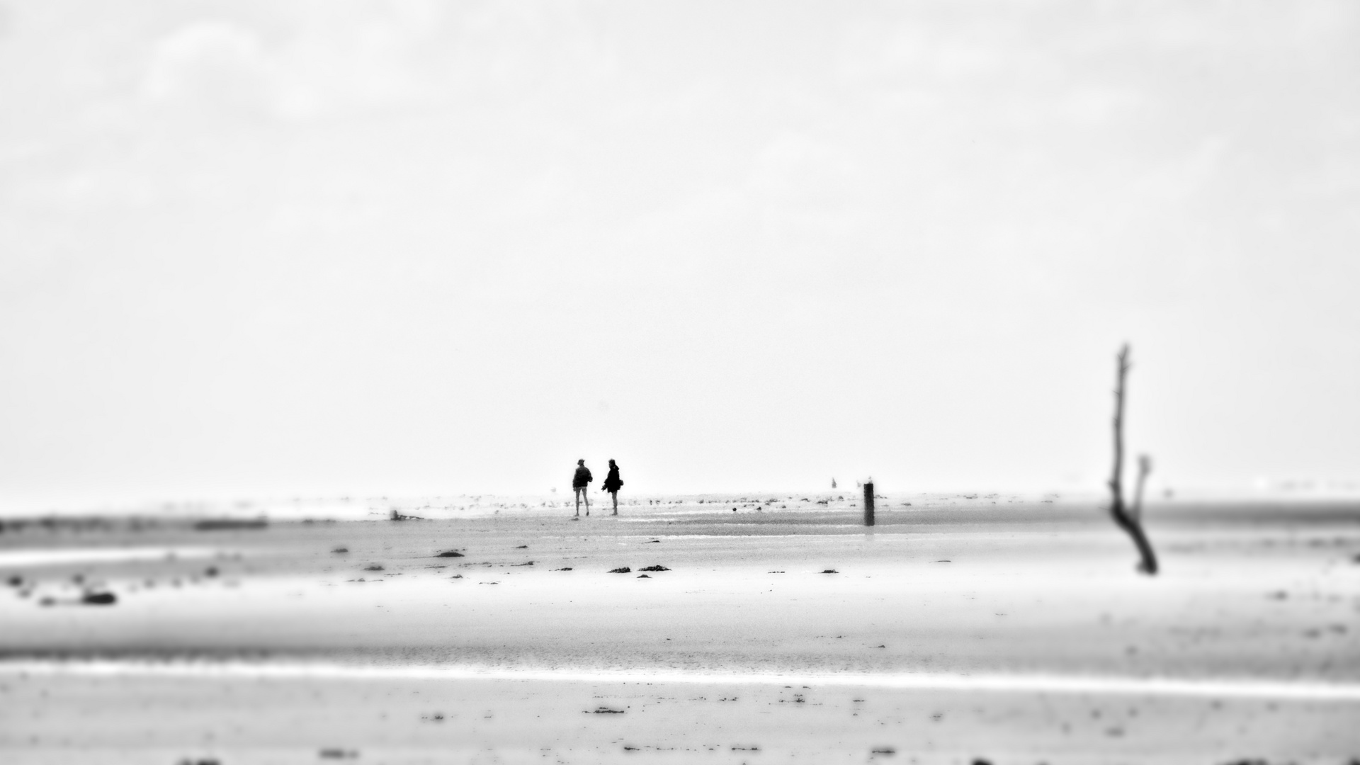 procol harum... Foto & Bild | natur, meer & strand Bilder auf fotocommunity