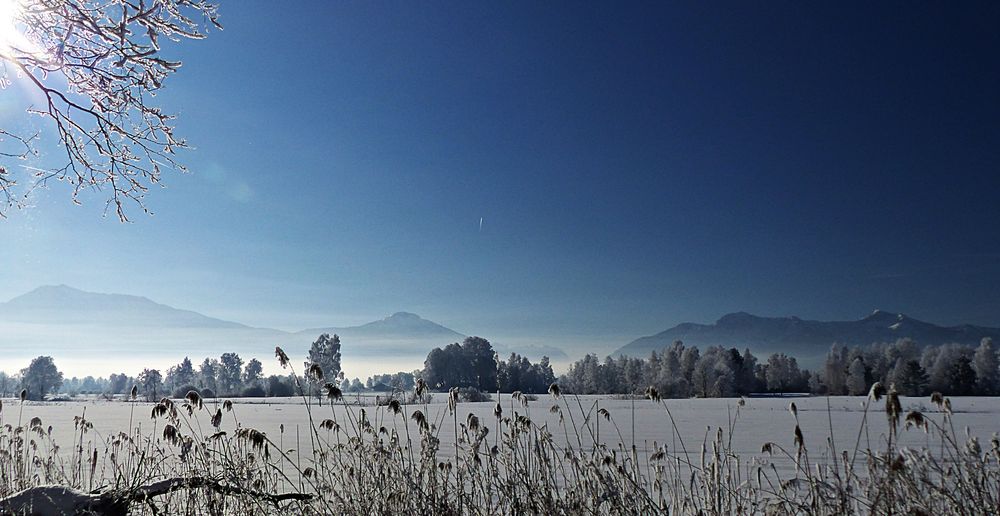 Projekt "Sonntag mit Sonne" Foto & Bild | landschaft, jahreszeiten, winter Bilder auf fotocommunity