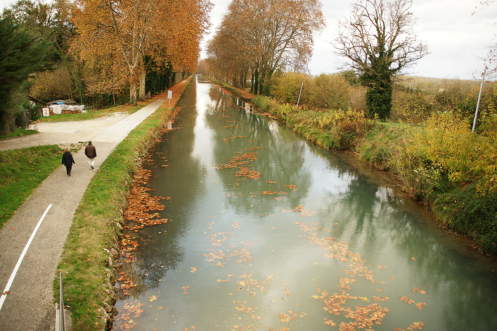 Promenade au bord du canal photo et image | paysages, lacs, rivières ...
