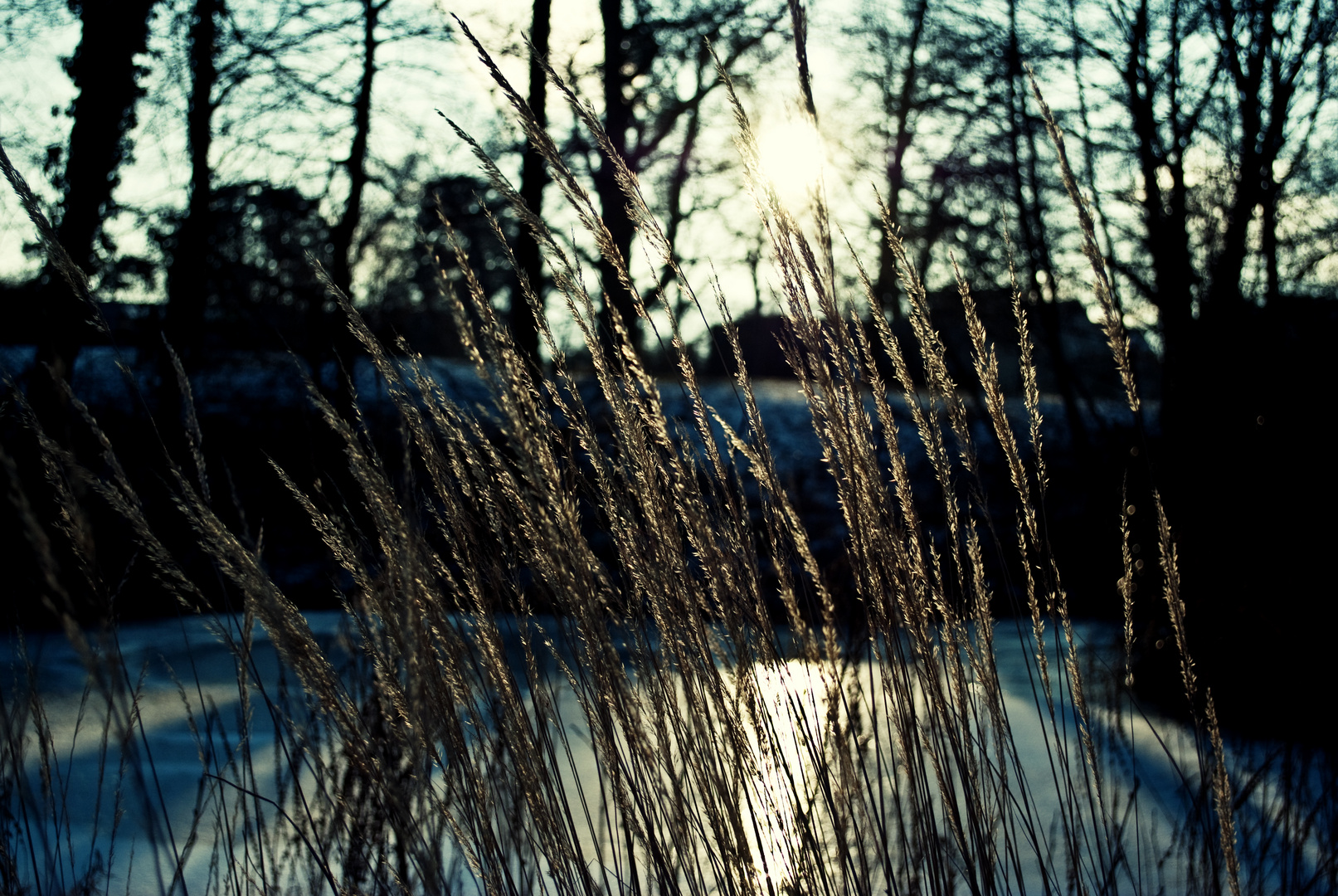 Promenade au parc ..... photo et image | divers, la nature simplement ...