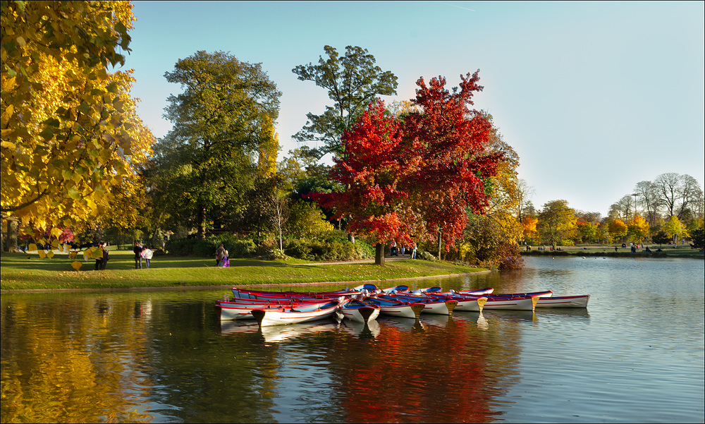 Promenade automnale photo et image | animations photographiques ...