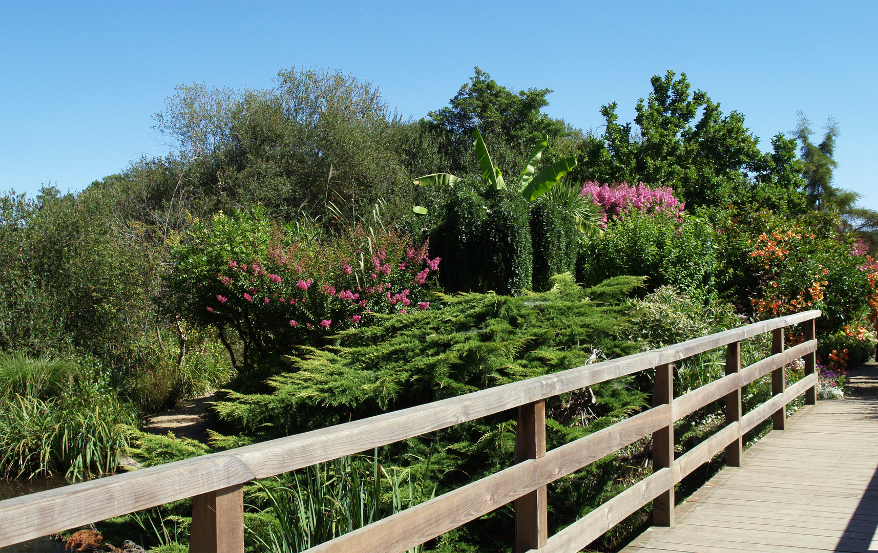 Promenade fleurie – Mimizan 1 photo et image | jardins, landes - côte ...